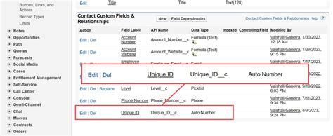 How To Change The Format Of Auto Number Field On Existing Record In Salesforce