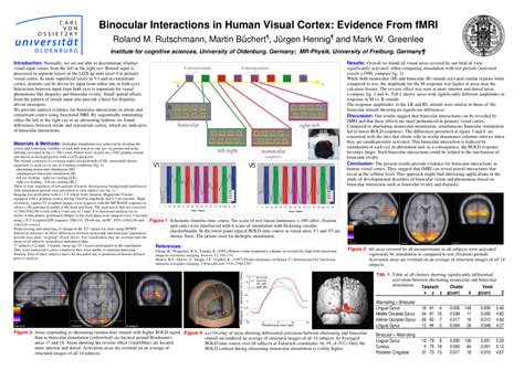 PDF Binocular Interactions In Human Visual Cortex Evidence From FMRI