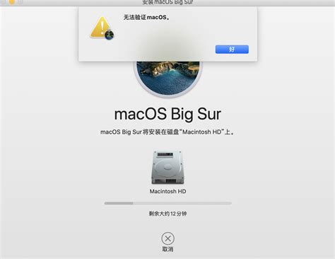 Macos Big Sur安装更新的时候一直显 Apple 社区