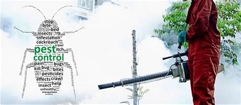 No1 Fumigation And Pest Control Services In Karachi Pakistan