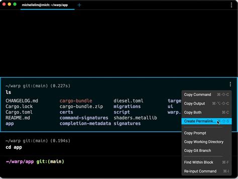 Warp The Terminal For The 21st Century Steemhunt