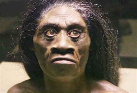 Modern Humans May Have Caused The Extinction Of Real Hobbits