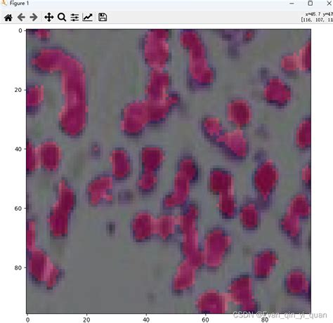 Pytorch实战7 mmsegmentation训练 CSDN博客