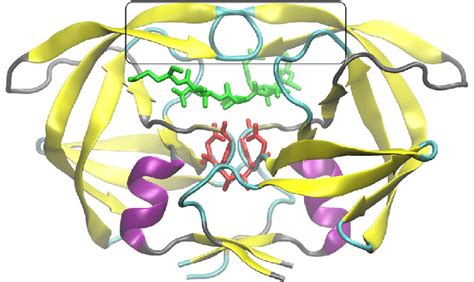 Tertiary Structure Of The HIV 1 PR Backbone PDB Code 1F7A