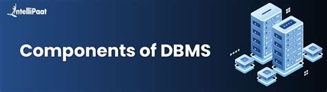 What Are The Components Of Dbms