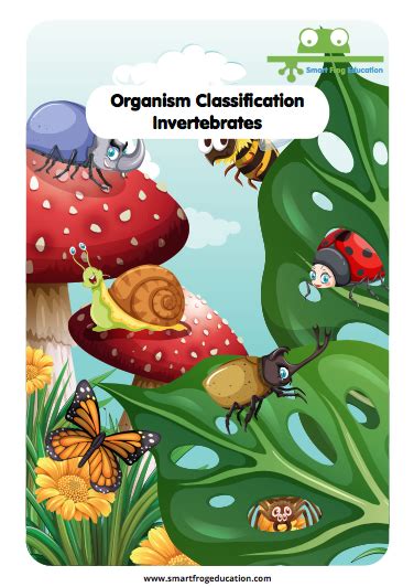 The Food Chain Smart Frog