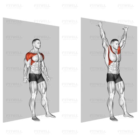 Shoulder Flexion Back To Wall Exercise Guide Techniques Benefits