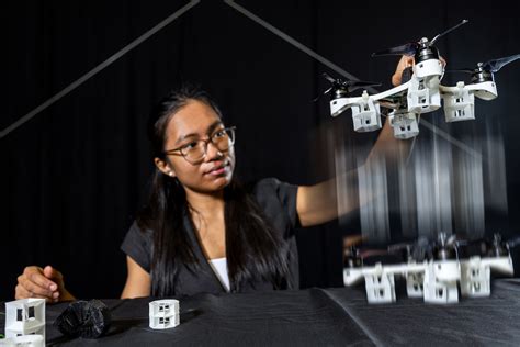 Biomorphic Intelligence Lab