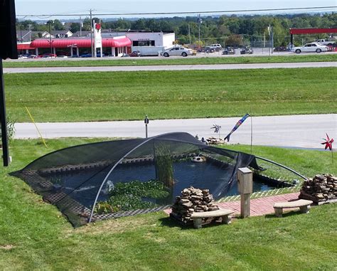 Leaf And Predator Nets Ponds Plus Water Garden Center