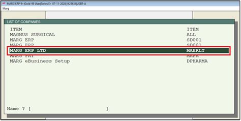 How To Import Busy Data In Marg Software