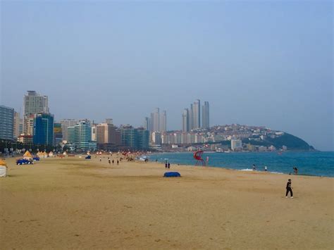 Sex Crimes At Busans Beaches Decrease This Year