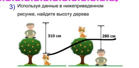 Используя данные в нижеприведенным рисунке найдите высоту дерева