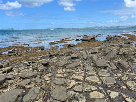 Help With Modelling This Grasshopper Mcneel Forum Help With Modelling This Grasshopper Mcneel Forum