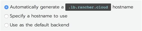 Rancher 20 Dynamic Dns Controller · Rancherrancher Wiki · Github
