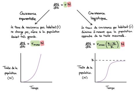 Comment Utiliser La Fonction Si Dans Excel Pour Vérifier Un Mot