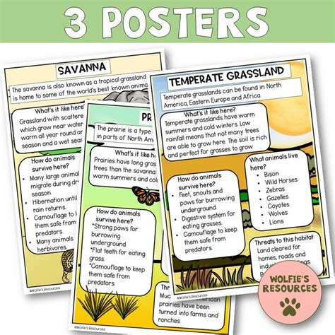 Grasslands Biome Etsy