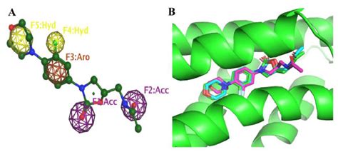 A Pharmacophore Model Features Used To Search Against The Three