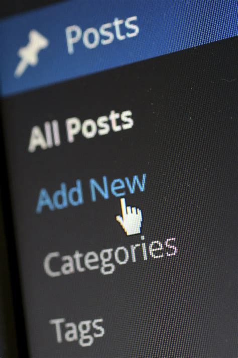 What Are Contact Forms In Wordpress Scalahosting Blog