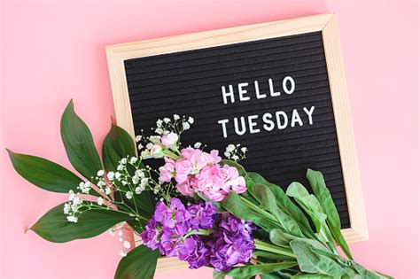 안녕하세요 화요일 텍스트 검은 편지 보드에 분홍색 배경에 화려한 꽃다발 화려한 꽃 개념 해피 화요일 엽서용 템플릿 인사말 카드