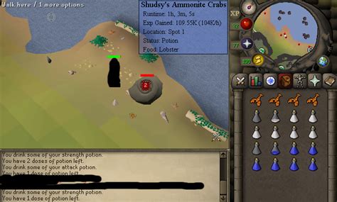 Shudsys Ammonite Crabs Combat And Slayer Osbot 2007 Osrs Botting