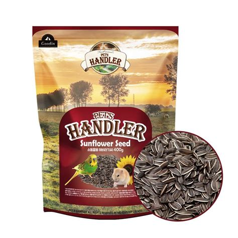 펫츠핸들러 프리미엄 해바라기씨 400g 홈플러스 택배배송