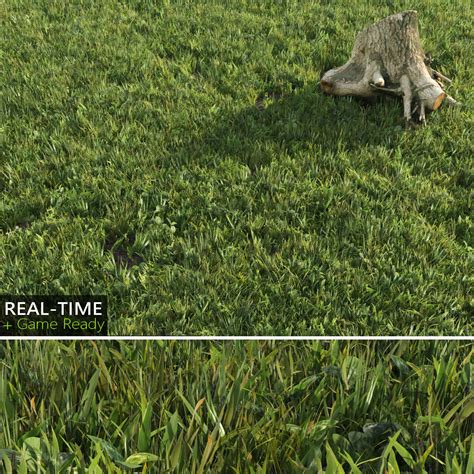 Grass Free 3d Model 3ds Free3d