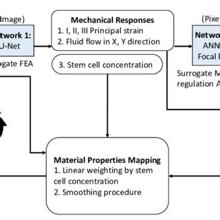 The Framework Of The Deep Learning Based Network Of Short Term Bone