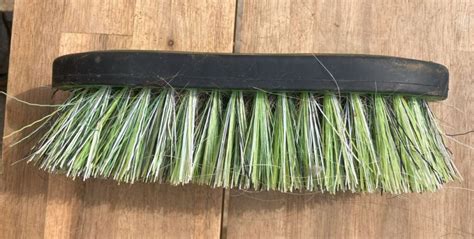 Types Of Horse Brushes What You Should Know Strathorn Farm Stables