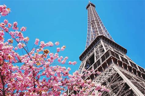 15 Fun Facts About Paris That Will Amaze You