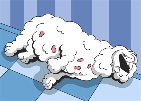 Dogs With Cushings Disease Breeds Causes Treatment