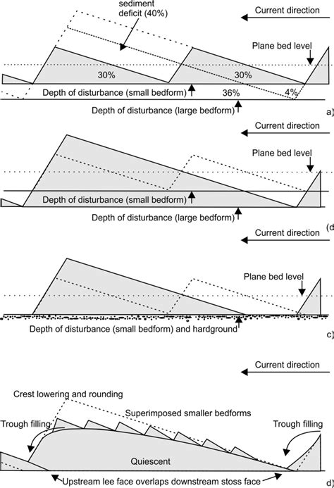 Schematic Diagram Highlighting The Processes Of Dune Modification And Download Scientific