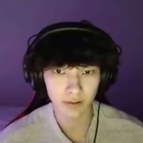 Streamer Net Worths Streamerfacts