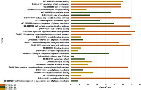 Top 10 Gene Ontology Go Terms For Categories Of Biological Process