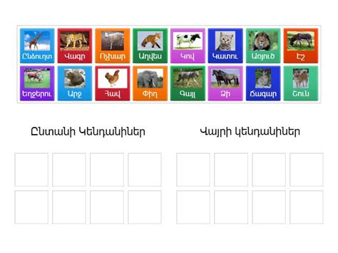 Վայրի և ընտանի Կենդանիներ Group Sort
