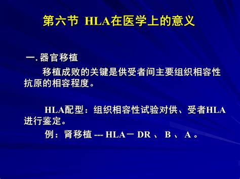 主要组织相容性复合体ppt模板 免费ppt下载