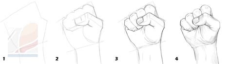 Fist Drawing Quick Guide How To Draw A Clenched Fist