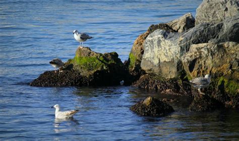 ლაშა გურგენიძე მსახიობი ირგვლივ ყველაფერს უნდა აკვირდებოდეს და იმახსოვრებდეს Ttimes Ge