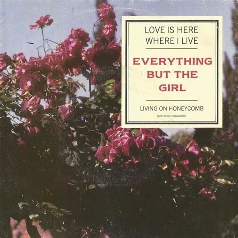 Everything But The Girl Living On Honeycomb Lyrics Genius Lyrics