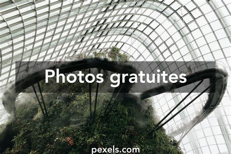 80 福建兄妹系列列萝莉福建兄妹系列列zfzzidlxpo Banque Dimages Et Photos