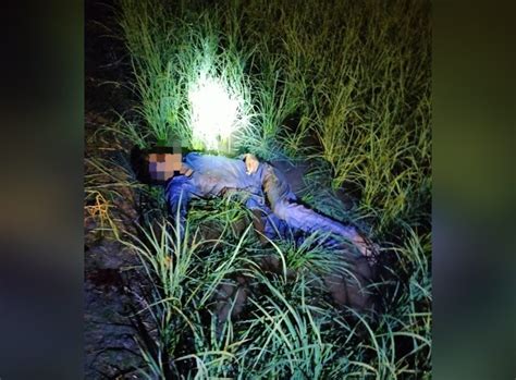 Pakistani Intruder Shot Dead By Bsf Along Punjab Border Northlines