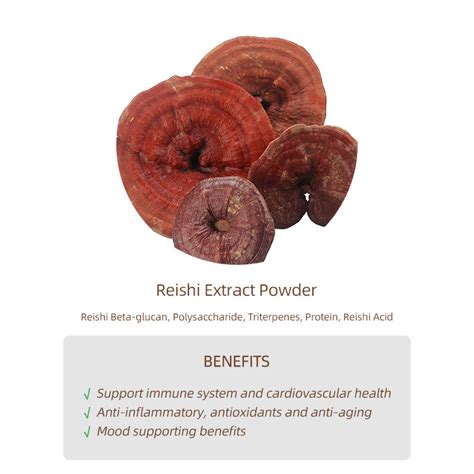 High Beta Glucan Miracle Booster Reishi Mushroom Powder Ganoderma