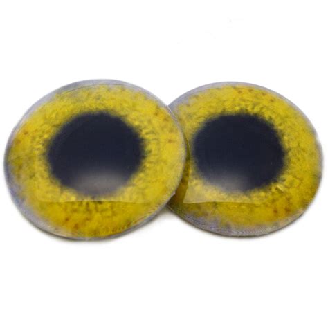 Yellow Osprey Glass Bird Eyes Handmade Glass Eyes
