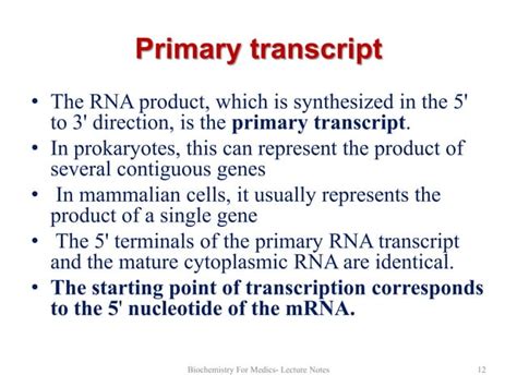 Dna Transcription Part 1 Ppt