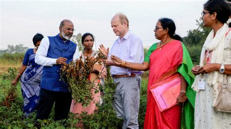 Developing New Groundnut Varieties To Boost Farmer Incomes In Telangana