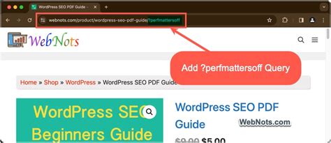 How To Bypass Perfmatters Plugin For Testing Wordpress Site Webnots