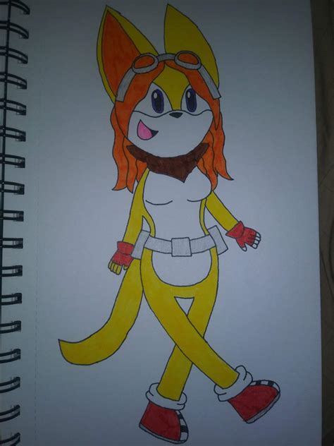 Heres A Beautiful Kangaroo Sonic The Hedgehog Amino
