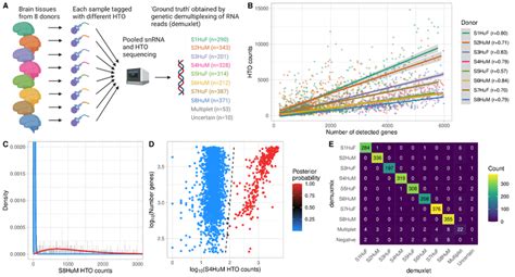 Demuxmix Results From The Human Brain Single Nucleus Dataset A