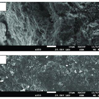 SEM Of The Tubular Ceramic Membrane A Cross Section Of The Membrane