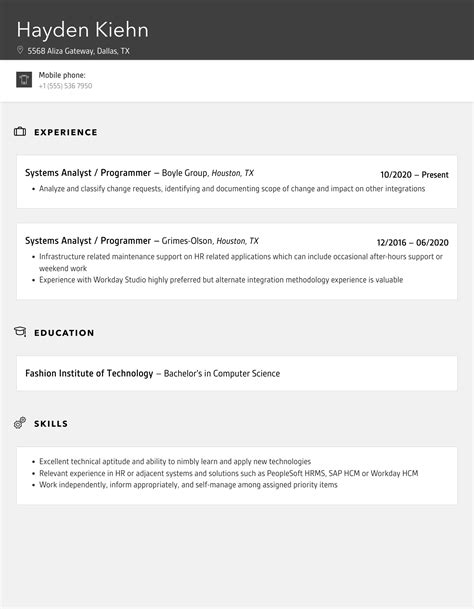 Systems Analyst Programmer Resume Samples Velvet Jobs