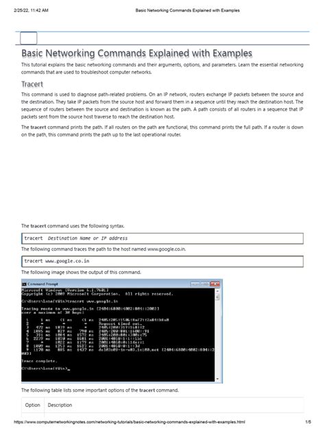 Basic Networking Commands Explained With Examples | PDF | Domain Name System | Ip Address